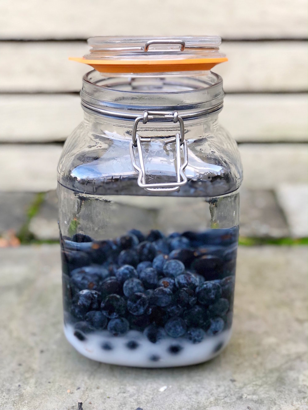 Domaći liker od trnjine – Kruške & Sir